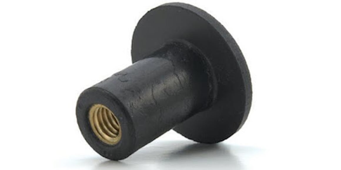 Well Nuts: Everything You Need to Know | Bay Supply